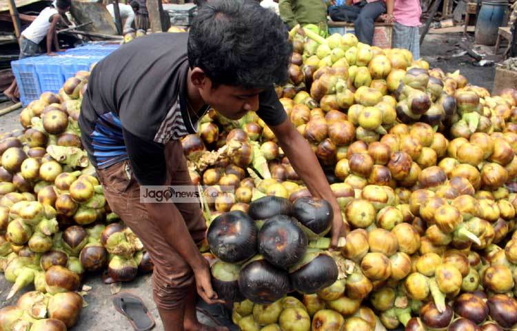 শহরে এসেছে পানি তাল