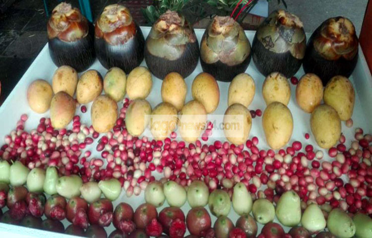 শেষ হলো জাতীয় ফল মেলা