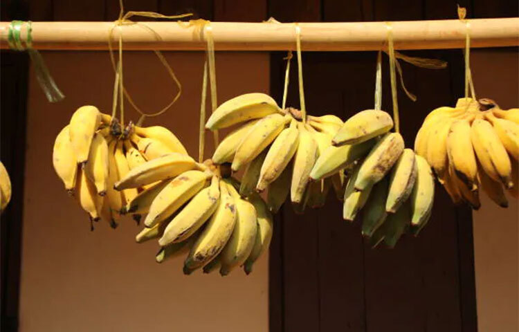 কলা অনেকদিন তাজা রাখবেন যেভাবে