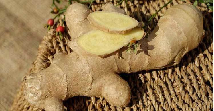 Medicinal benefits of ginger you probably didn`t know