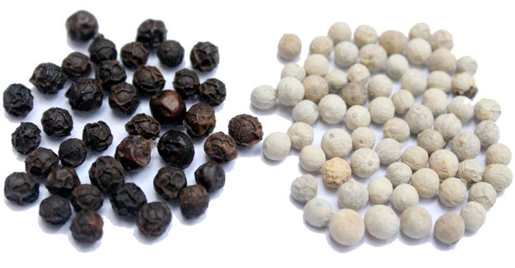 গুণে ভরা গোলমরিচ