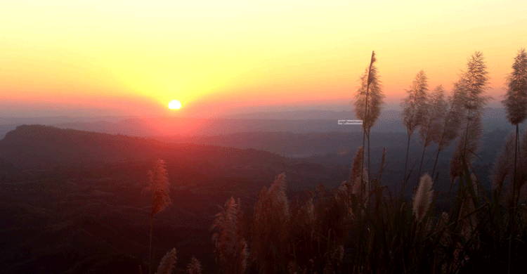 নতুনের কেতন উড়িয়ে গাও জীবনের জয়গান