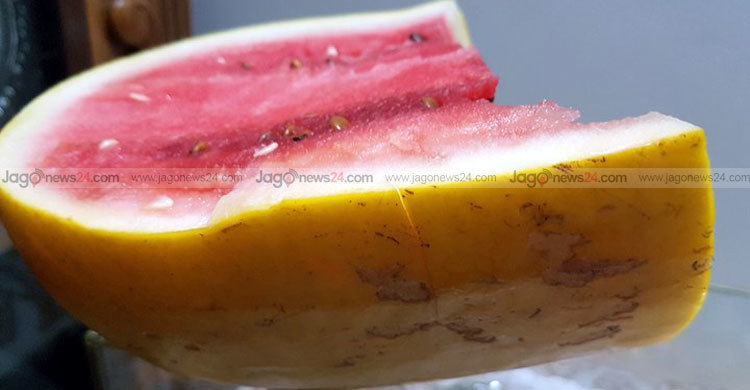 আড়তে পিস, বাইরে কেজি দরে ‘চায়না তরমুজ’
