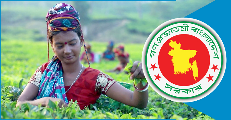 ৪ জুন জাতীয় চা দিবস