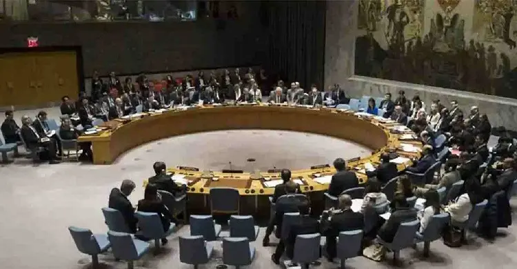 India elected non-permanent member of UNSC
