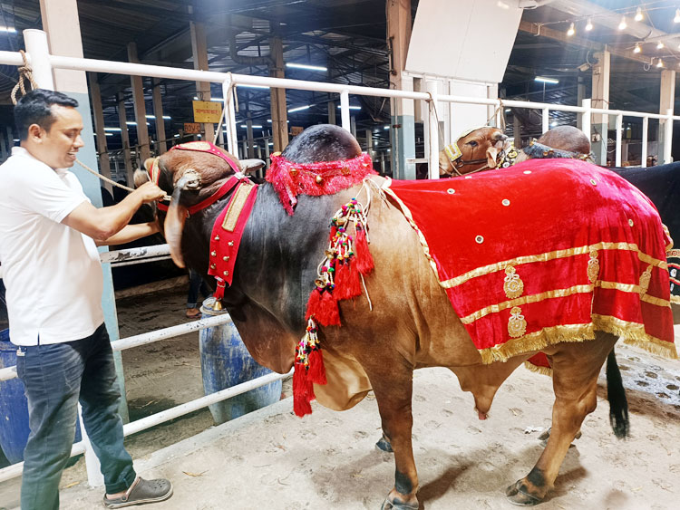 ১৪ লাখে বিক্রি হলো ‘জায়েদ খান-পাঠান’