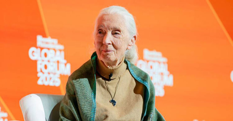 Iconic chimpanzee expert Jane Goodall dies